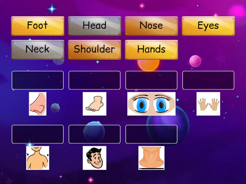 Find The Body Parts - Match up