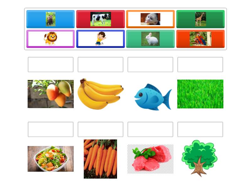 What animals eat - Match up