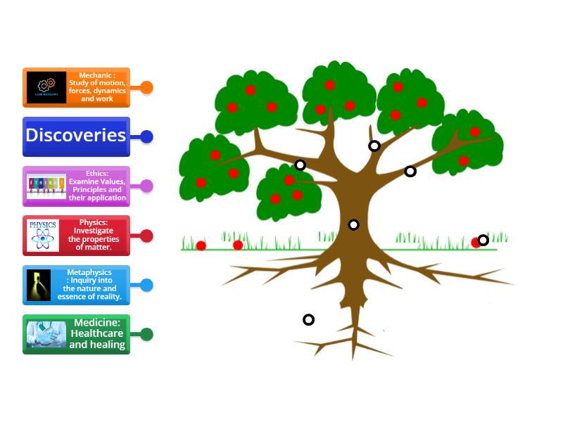 Philsophy Tree - Descartes, eng - Labelled diagram