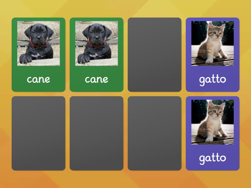 animali - Matching pairs