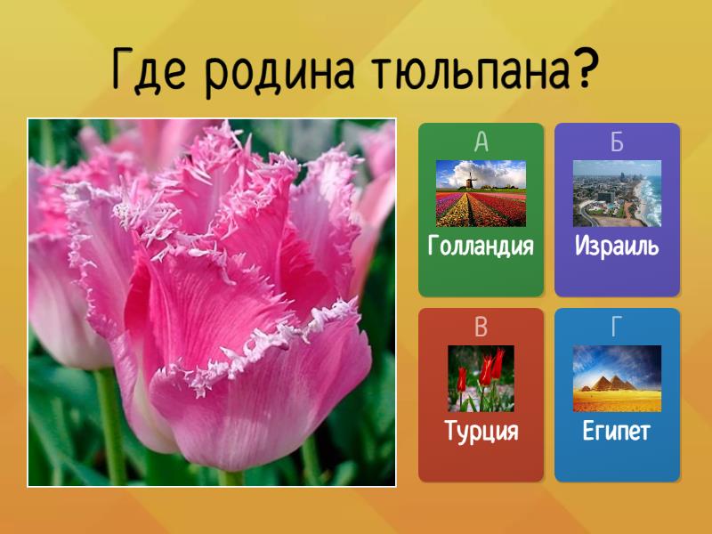 "Белая корзинка- Золотое донце, В ней лежит росинка и сверкает солнце ...