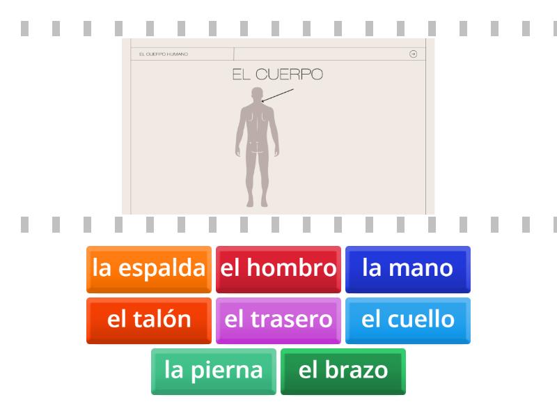 El cuerpo, parte II - Find the match