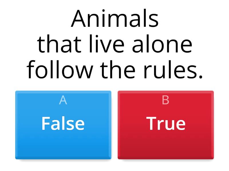 Check ( ) True or False. - Cuestionario