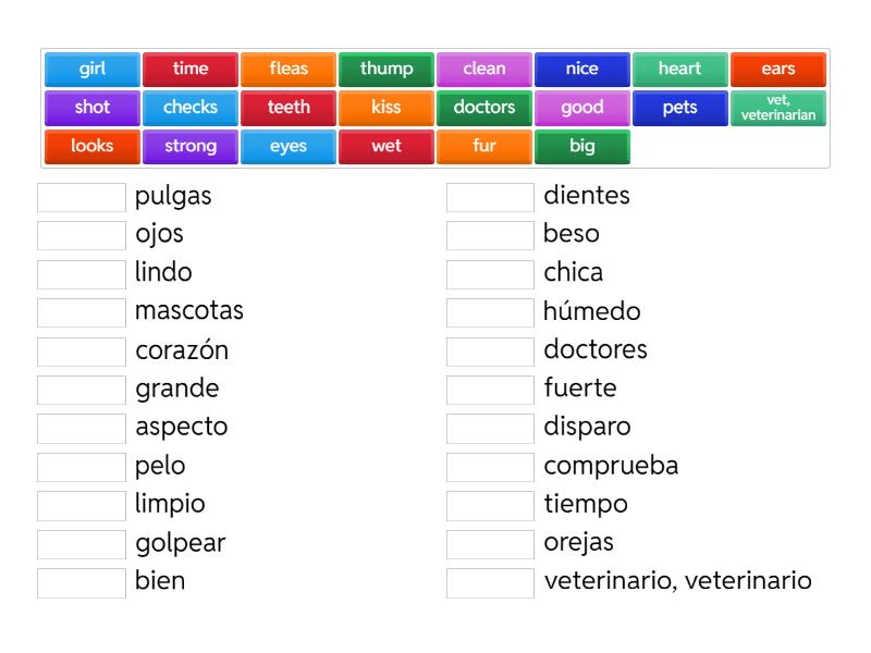 25 E Meli at the Vet - Match up