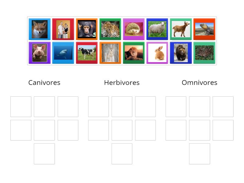 Match up Carnivores herbivores and omnivores - Group sort