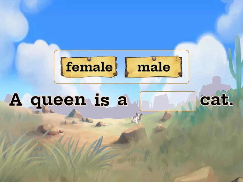 Male or Female - Complete the sentence