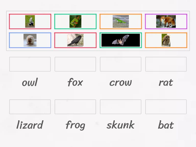 I2 U5 Wild Aimals - Match up