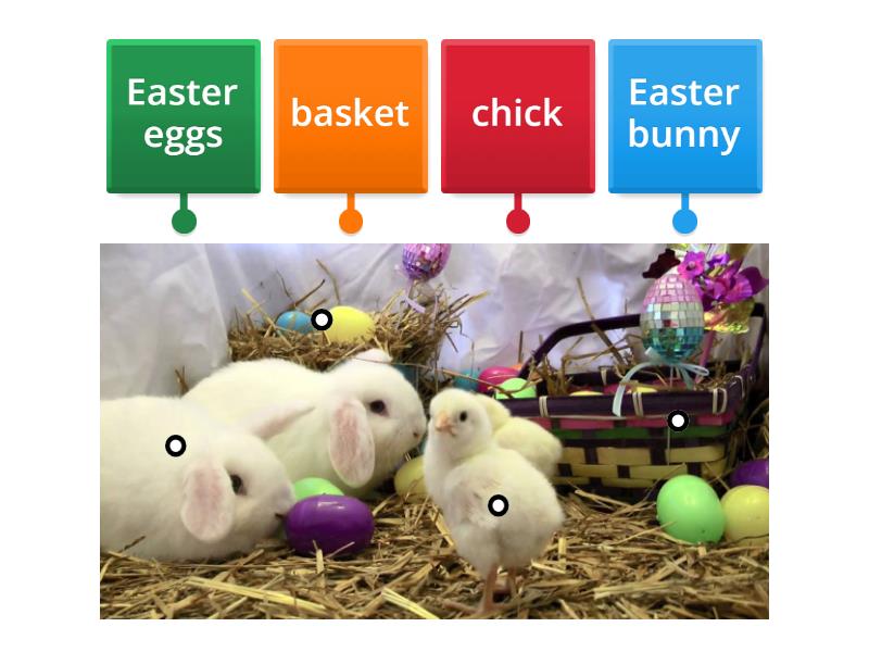 Easter 2 - Labelled diagram