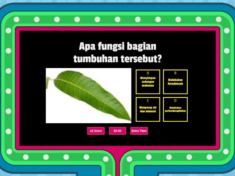 Ipas Bab 1 Kelas 4 Tumbuhan Sumber Kehidupan Di Bumi Gameshow Quiz