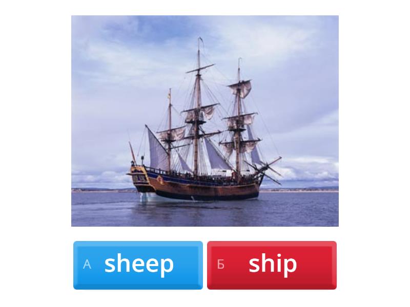 bed/bad/sheep/ship/cheese/chess - Quiz