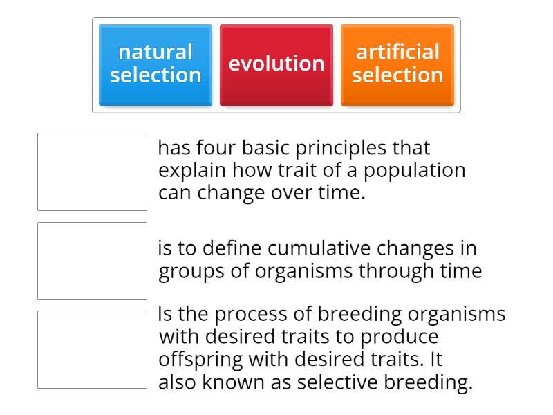 Darwin’s theory of evolution by natural selection - Match up