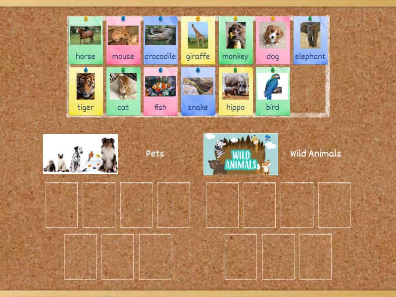 KB 1 Unit 7 Wild animals/Pets sorting - Group sort