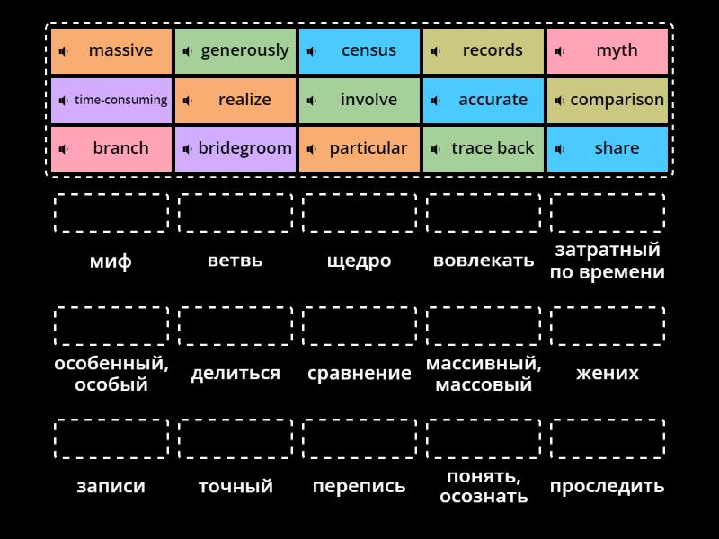NEF advanced Family tree - Match up