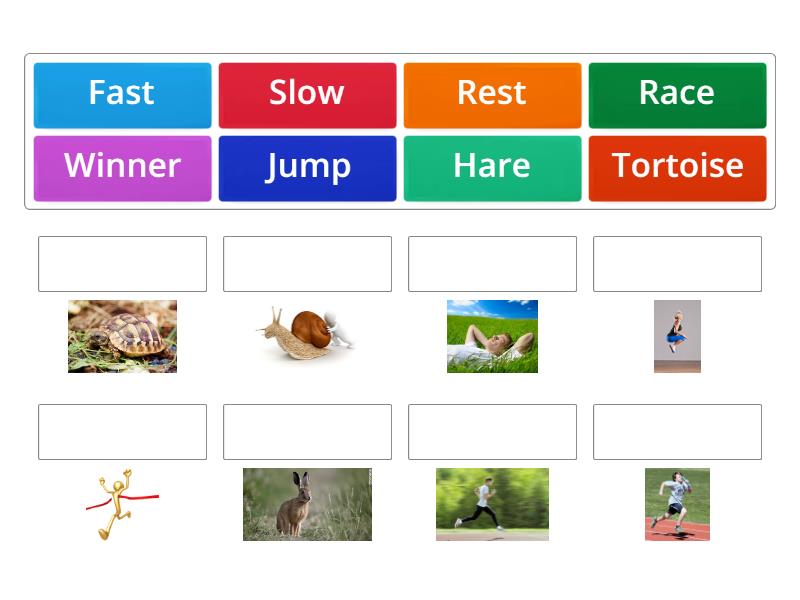 The hare and the tortoise - Сопоставить