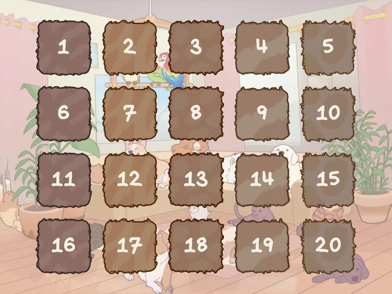 Conociendo los animales - Abrecajas