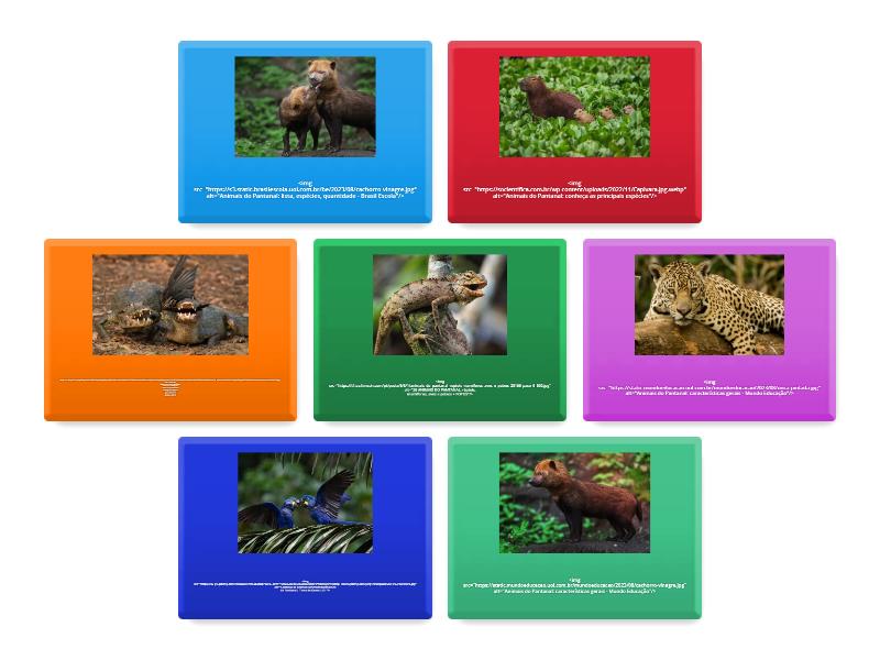 Animas Pantanal Flip Tiles