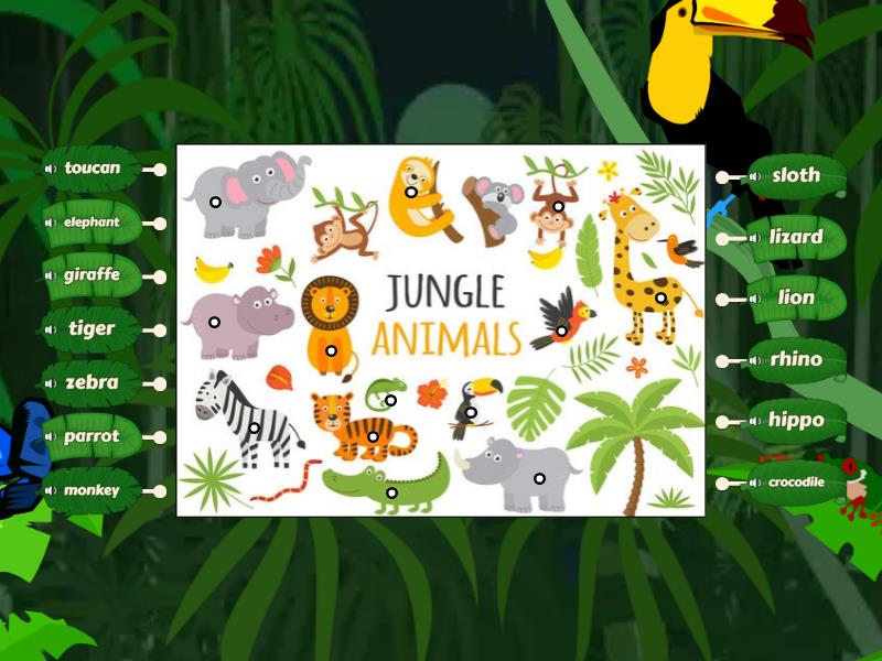 Animals - In the Jungle - Labelled diagram