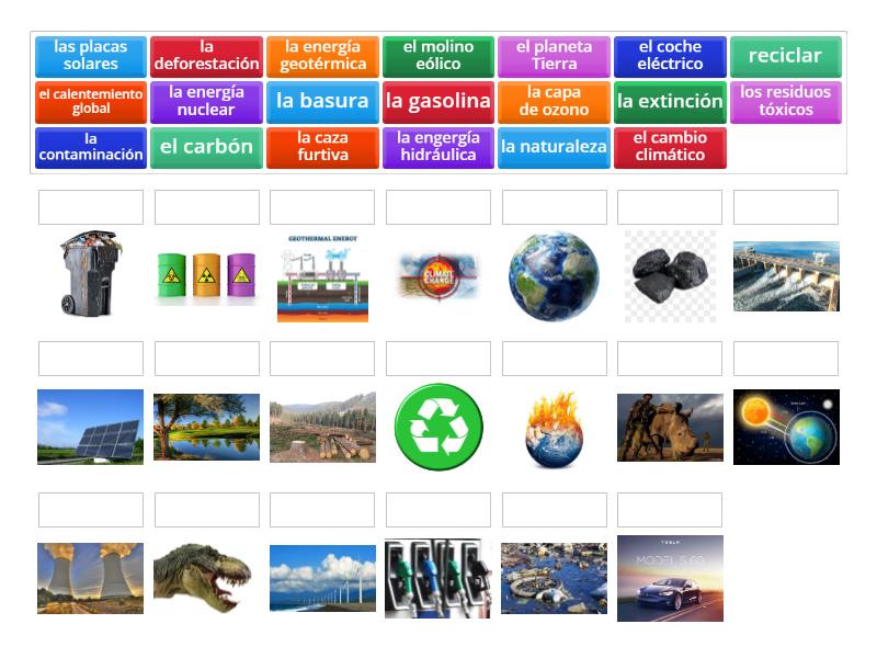 El Medio Ambiente - Match up