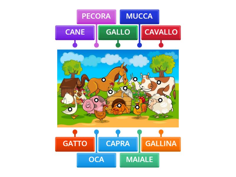 Animali della fattoria - Labelled diagram
