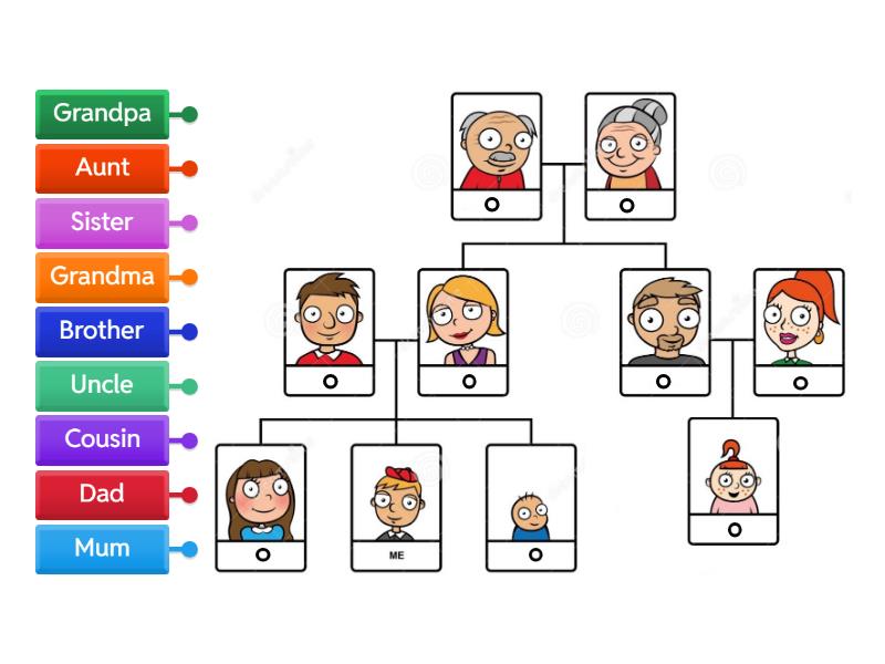 FF4: Unit Starter - Family (Ms. Hằng) - Gắn nhãn sơ đồ