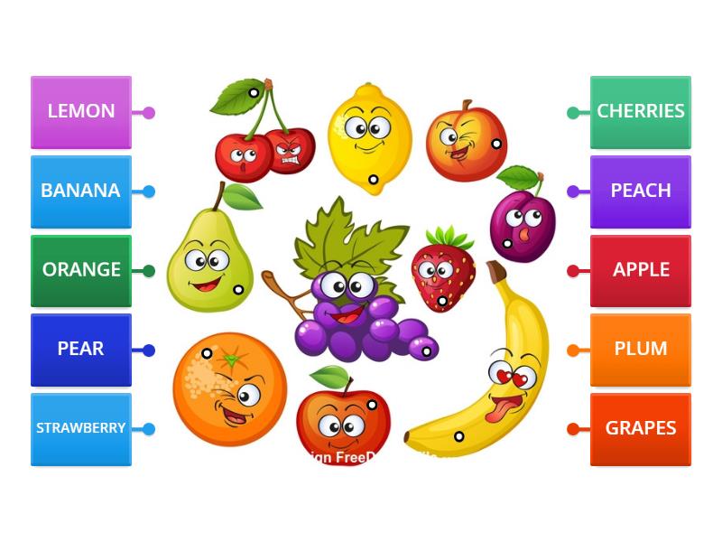 Fruit - Labelled diagram