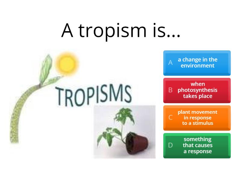 Tropism - Quiz