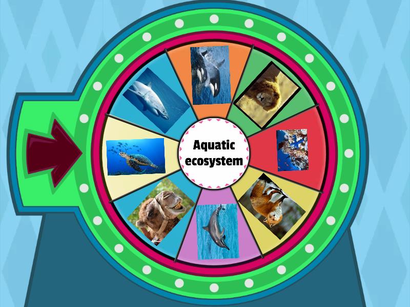 Aquatic ecosystem - Random wheel