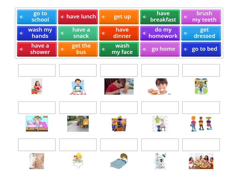 Daily routines - Match up