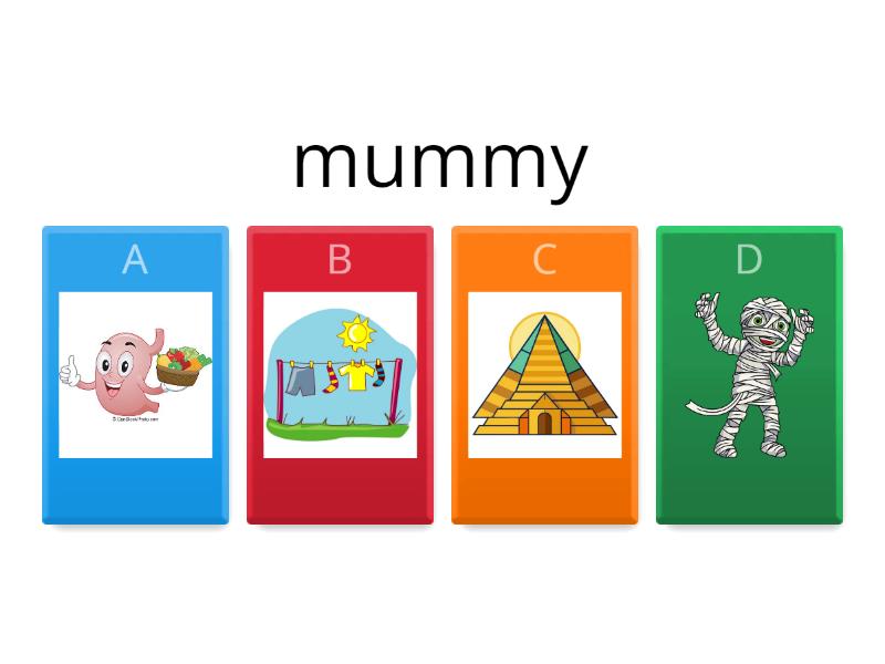 Smart Junior 4 Unit 3 Vocabulary - Quiz