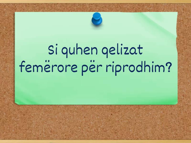 AR. Seminari Anatomia e njeriut - Flash cards