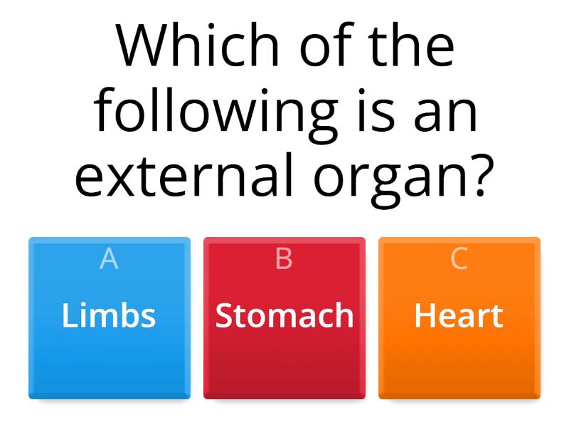 Internal And External Organs - Quiz