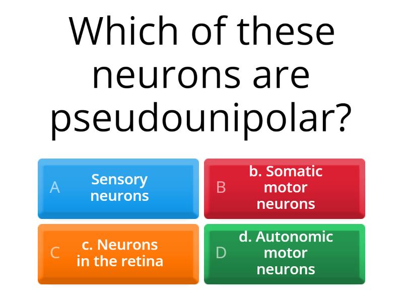 Physio Quiz
