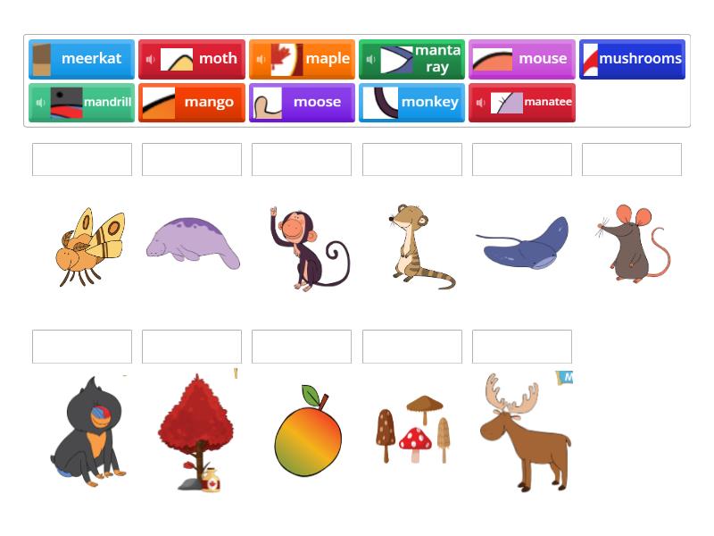 Letter Mm - Match up