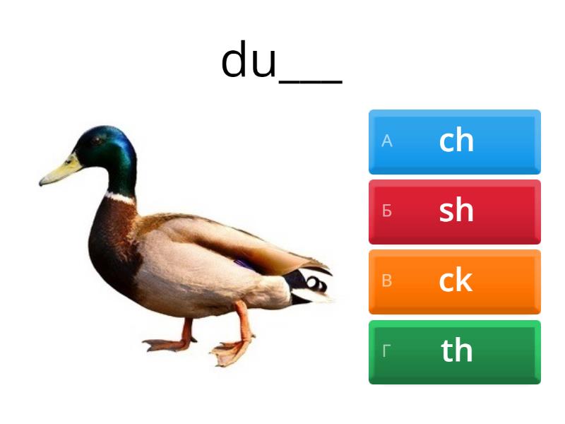 ck, ch, sh, th - Quiz
