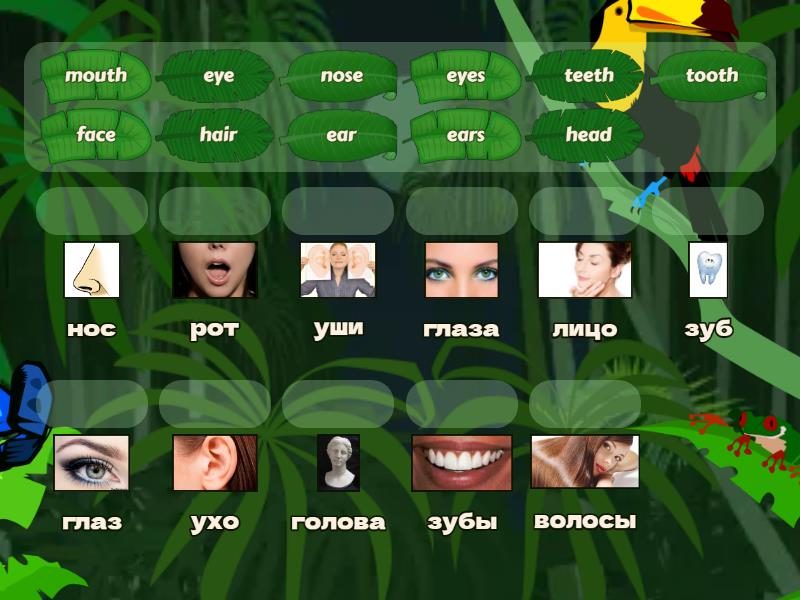 Kid's box 1, Lesson 6, "My face" - Match up