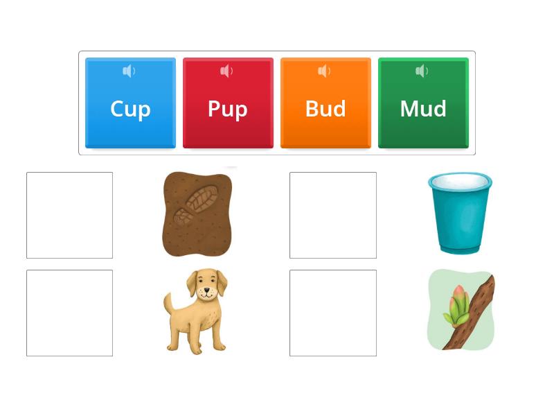 Oxford Phonics u-ug-ud-up - Match up
