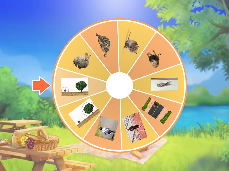 FABLES WHEEL - Spin the wheel