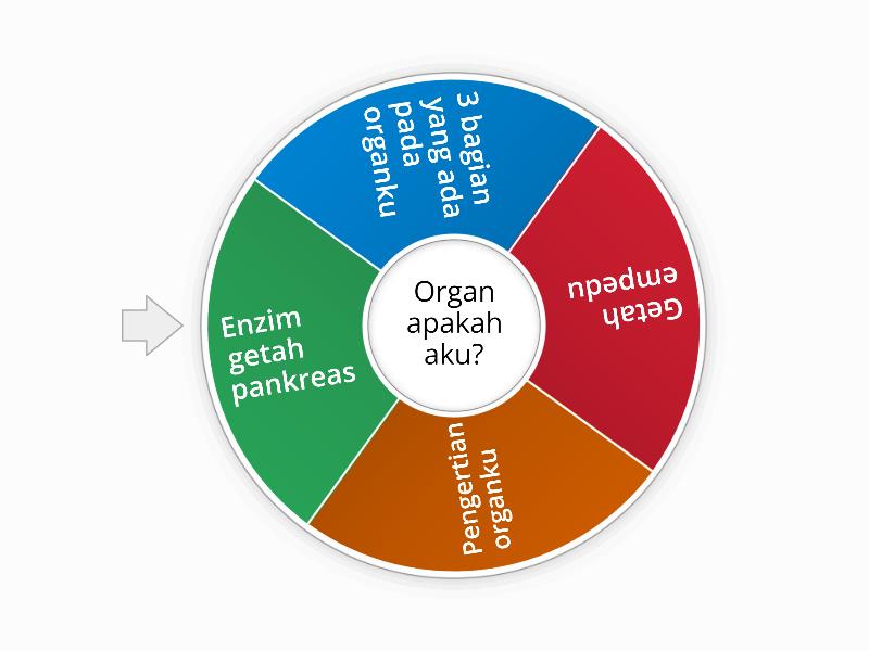 SISTEM PENCERNAAN MANUSIA - 4 - Spin the wheel