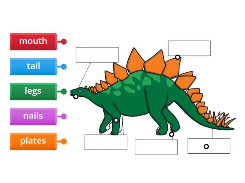 DINOSAUR - Labelled diagram