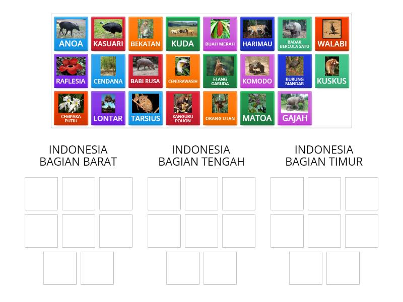 FLORA DAN FAUNA DI INDONESIA - Group sort