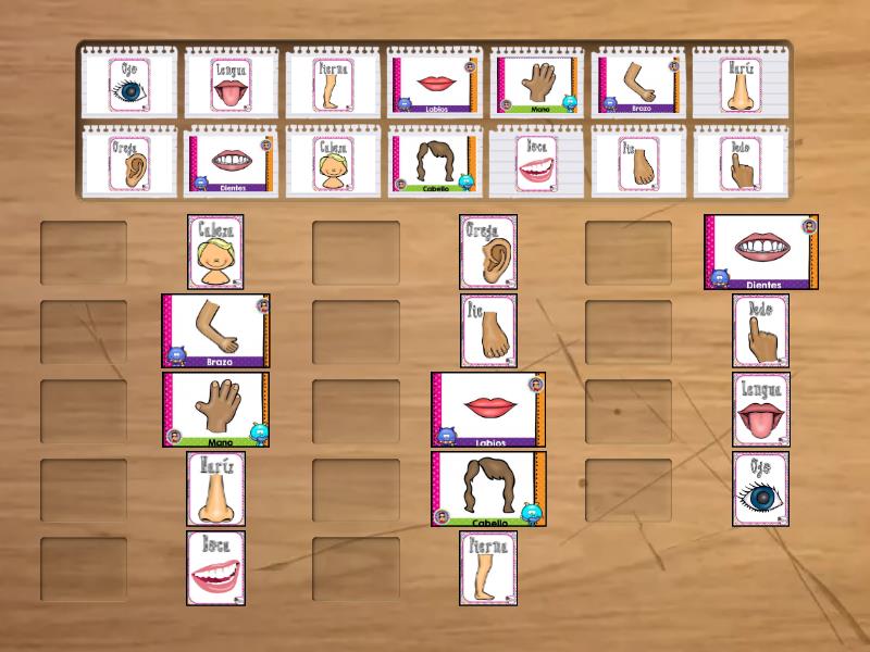 Las partes del cuerpo - Match up