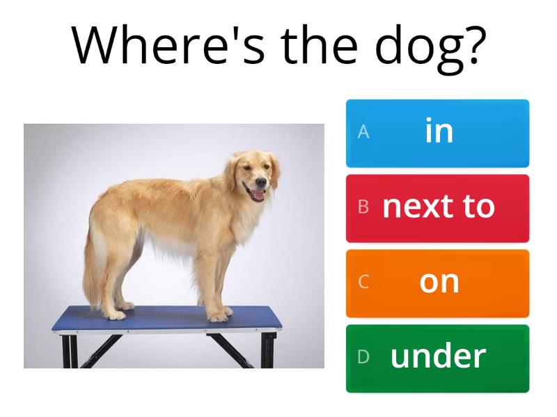 AS 1 prepositions ( in / on / nex to / under) - Quiz