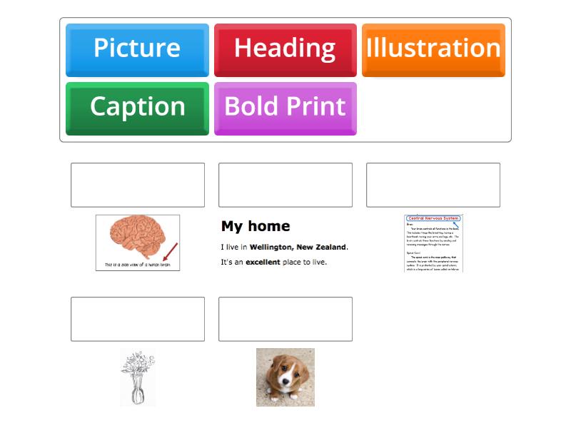 Text Features - Match up