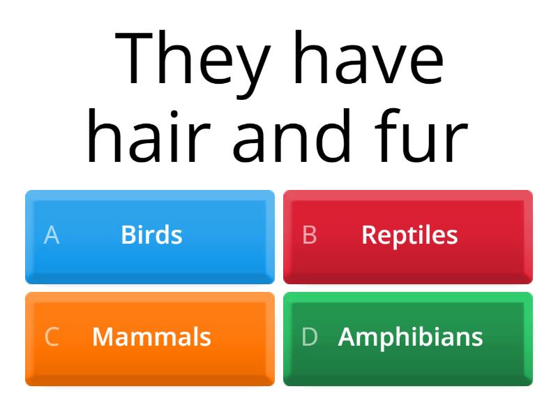 Vertebrates - Quiz