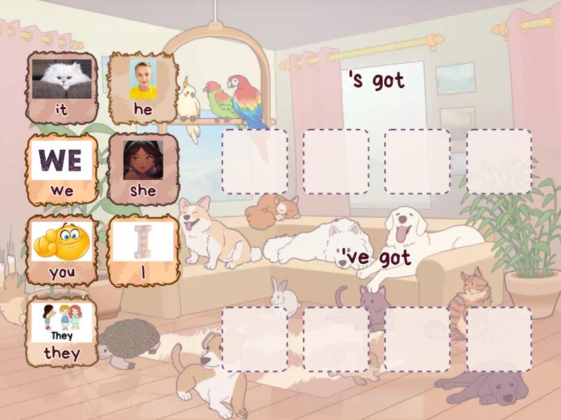 Have got/ Has got - Group sort