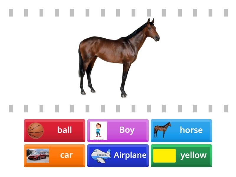 Edmark Practice 1 - Find the match