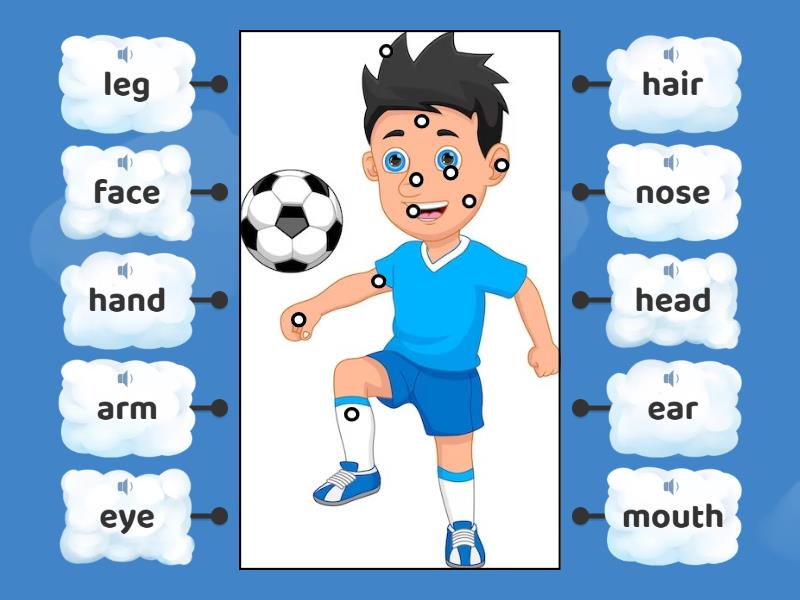 My body - Labelled diagram