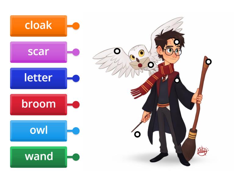 Harry Potter - Labelled diagram