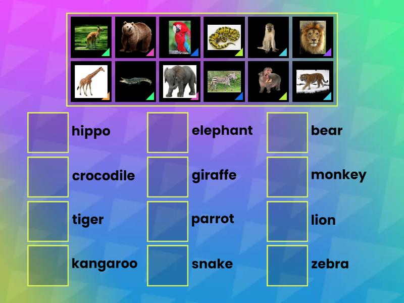 Wild animals - Match up