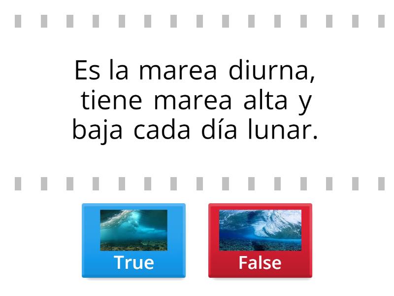 Las mareas - True or false